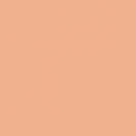 British Standards BS 381C Salmon Pink 447 Aerosol Spray Paint 1K/2K