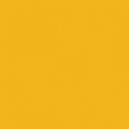 RAL 1003 Signal Yellow Aerosol Spray Paint 1K/2K 400ml