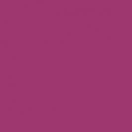 RAL 4006 Traffic Purple Aerosol Spray Paint 1K/2K 400ml