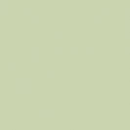 Farrow and Ball Cooking Apple Green 32 Aerosol Spray Paint 1K/2K 400ml