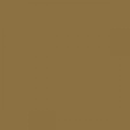 RAL 080 50 30 Aerosol Spray Paint