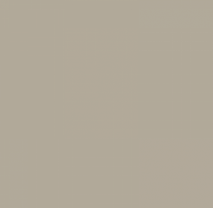 RAL 085 70 10 Aerosol Spray Paint