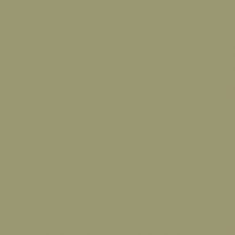 Kingspan Khaki Green RAL 100 60 20 Aerosol Spray Paint 1K/2K