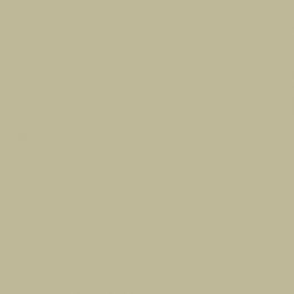 Kingspan Mushroom RAL 080 70 10 Aerosol Spray Paint 1K/2K