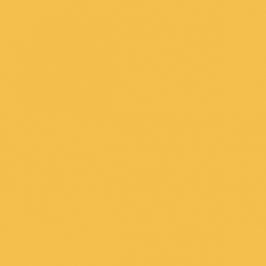 Kingspan BS 08E53 Saffron Yellow Spray Paint 1K/2K 400ml