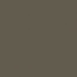 RAL 100 40 10 Aerosol Spray Paint