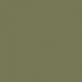 RAL 110 50 20 Aerosol Spray Paint