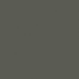 RAL 120 40 05 Aerosol Spray Paint