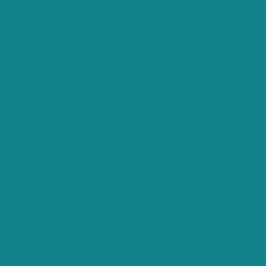 RAL 210 50 30 Aerosol Spray Paint