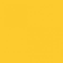 British Standards BS4800 10-E-51 Yellow Aerosol Spray Paint 1K/2K