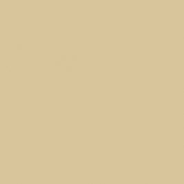 RAL 1014 Ivory Aerosol Spray Paint 1K/2K 400ml - Premium